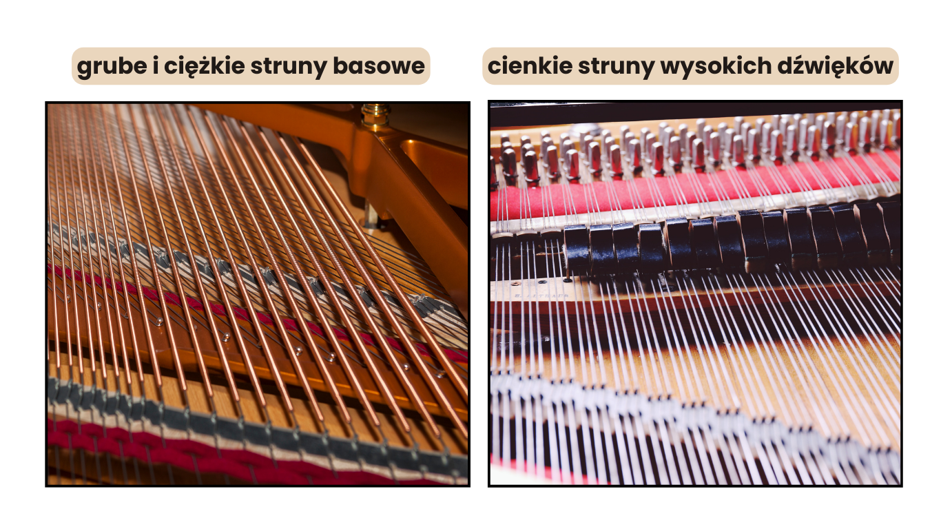 Rodzaje klawiatur w pianinach cyfrowych – jak wybrać najlepszą do nauki ...